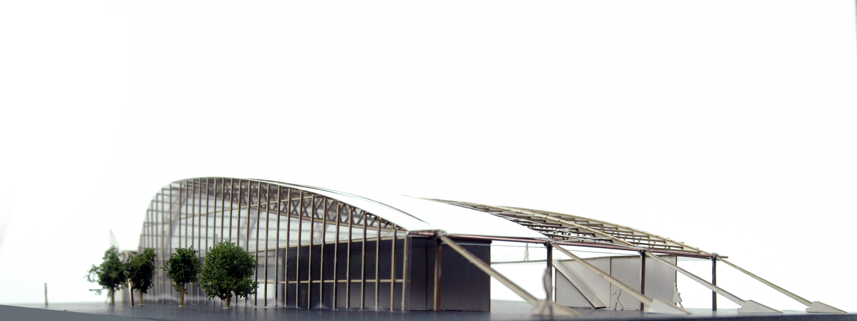 DSC_0104_ | Eike Schling